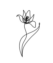 Abstract flower line drawing isolated on white Vector Image