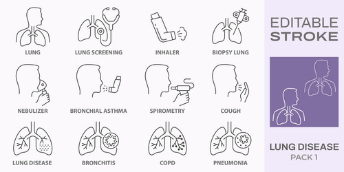 Lung disease icons such as inhaler nebulizer Vector Image