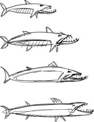 Barracuda fish for your design Royalty Free Vector Image