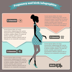 Pregnancy and birth infographics stages Royalty Free Vector
