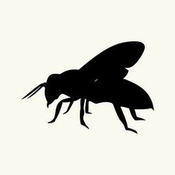 Bee Stinger Vector Images (over 980)