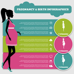 Pregnancy and birth infographics stages Royalty Free Vector