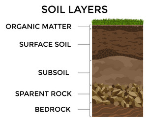 Soil layers surface horizons upper layer of earth Vector Image