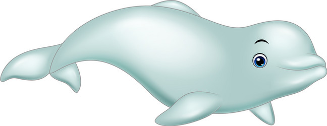 Cartoon beluga isolated on white background Vector Image