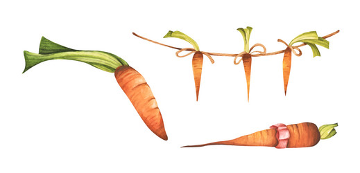 Carrot root vegetable cartoon Royalty Free Vector Image