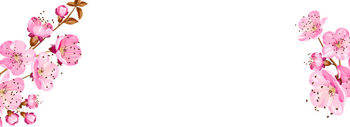 Botanical elements design template panoramic Vector Image