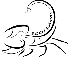 Scorpions line drawing Royalty Free Vector Image