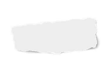 White paper tear with soft shadow isolated Vector Image