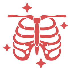 Human rib cage anatomy Royalty Free Vector Image