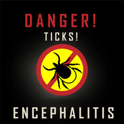 Image of a tick in red crossed-out circle Vector Image