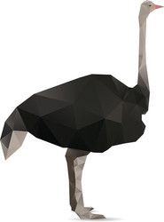 Ostrich wildlife background Royalty Free Vector Image