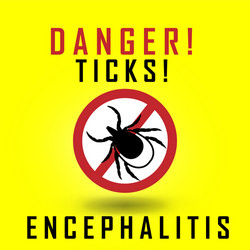 Image of a tick in red crossed-out circle Vector Image