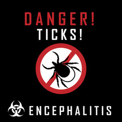 Image of a tick in red crossed-out circle Vector Image