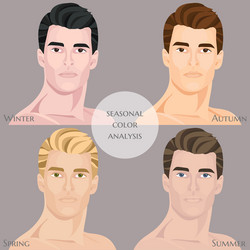 Seasonal color analysis palettes Royalty Free Vector Image