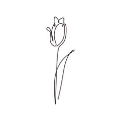 Tulip Line Drawing Vector Images (over 3,100)
