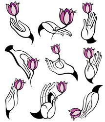 Lotus Hands Vector Images (over 11,000)