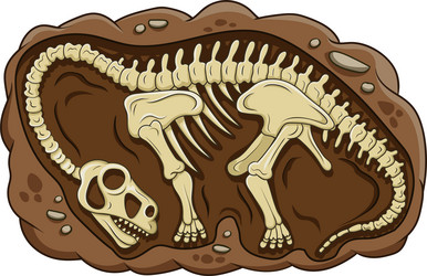 Cartoon triceratops fossil Royalty Free Vector Image