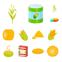 Maize and food icon set Royalty Free Vector Image