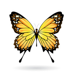 Yellow Butterfly Logo Vector Images (over 870)