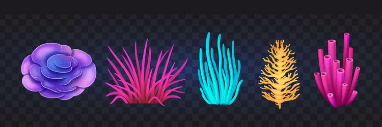 Coral reefs set Royalty Free Vector Image - VectorStock