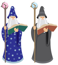 Wizard with magic wand Royalty Free Vector Image
