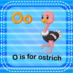 Letter O Flashcards Vector Images (over 220)