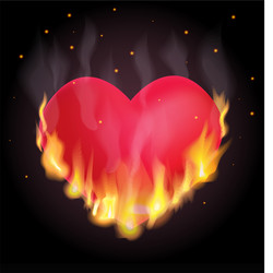Burning heart Royalty Free Vector Image - VectorStock