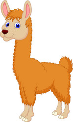 Llama cute cartoon Royalty Free Vector Image - VectorStock