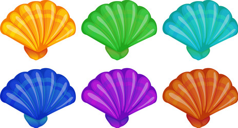 Shell collection Royalty Free Vector Image - VectorStock