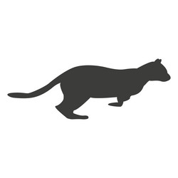 Cat Running Vector Images (over 2,800)