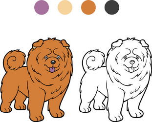 Coloring book dog breeds chow Royalty Free Vector Image