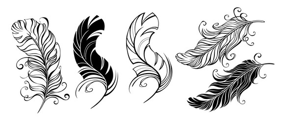 Hand drawn feathers Royalty Free Vector Image - VectorStock