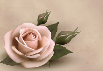 Old Rose Background Vector Images (over 11,000)
