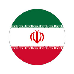 Iran circle button icon iranian round badge flag Vector Image