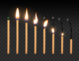 Match sticks realistic Royalty Free Vector Image