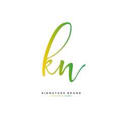 K n kn initial letter handwriting and signature Vector Image