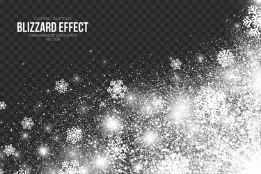 Snow blizzard effect on transparent background Vector Image
