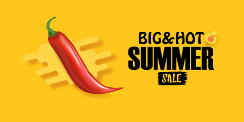 Big hot summer sale horizontal banner with red Vector Image