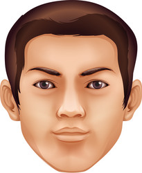Human face Royalty Free Vector Image - VectorStock