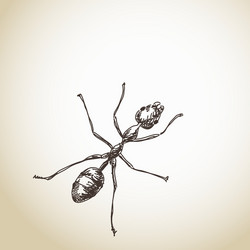 Ant Doodle Vector Images (over 850)