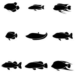 Fish group Royalty Free Vector Image - VectorStock