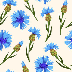 Seamless floral pattern with blue corn flowers Vector Image