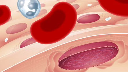 Vascular endothelial cell and red blood Royalty Free Vector
