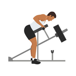 Bent Over Row Machine