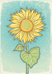 Sunflower Vector Images (over 43,000)