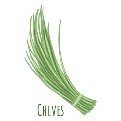 Chives Vector Images (over 1,300)