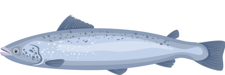 Steelhead Vector Images (85)