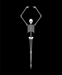 Ballet Skeleton Ballerina Vector Images (25)