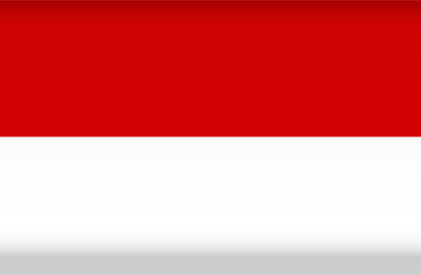 Flag of indonesia official colors flat Royalty Free Vector