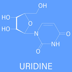 Uracil Vector Images (over 110)